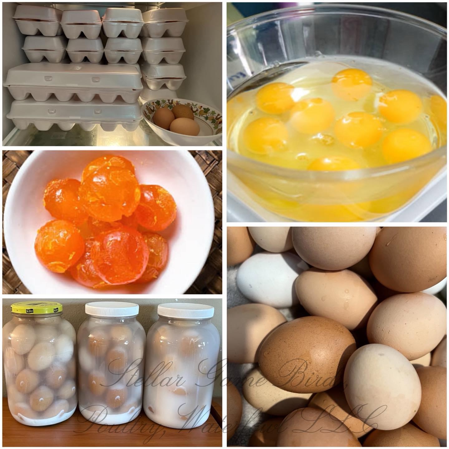 Various Ways to Preserve Eggs for Year-Round Use – 5 Acres and Destiny