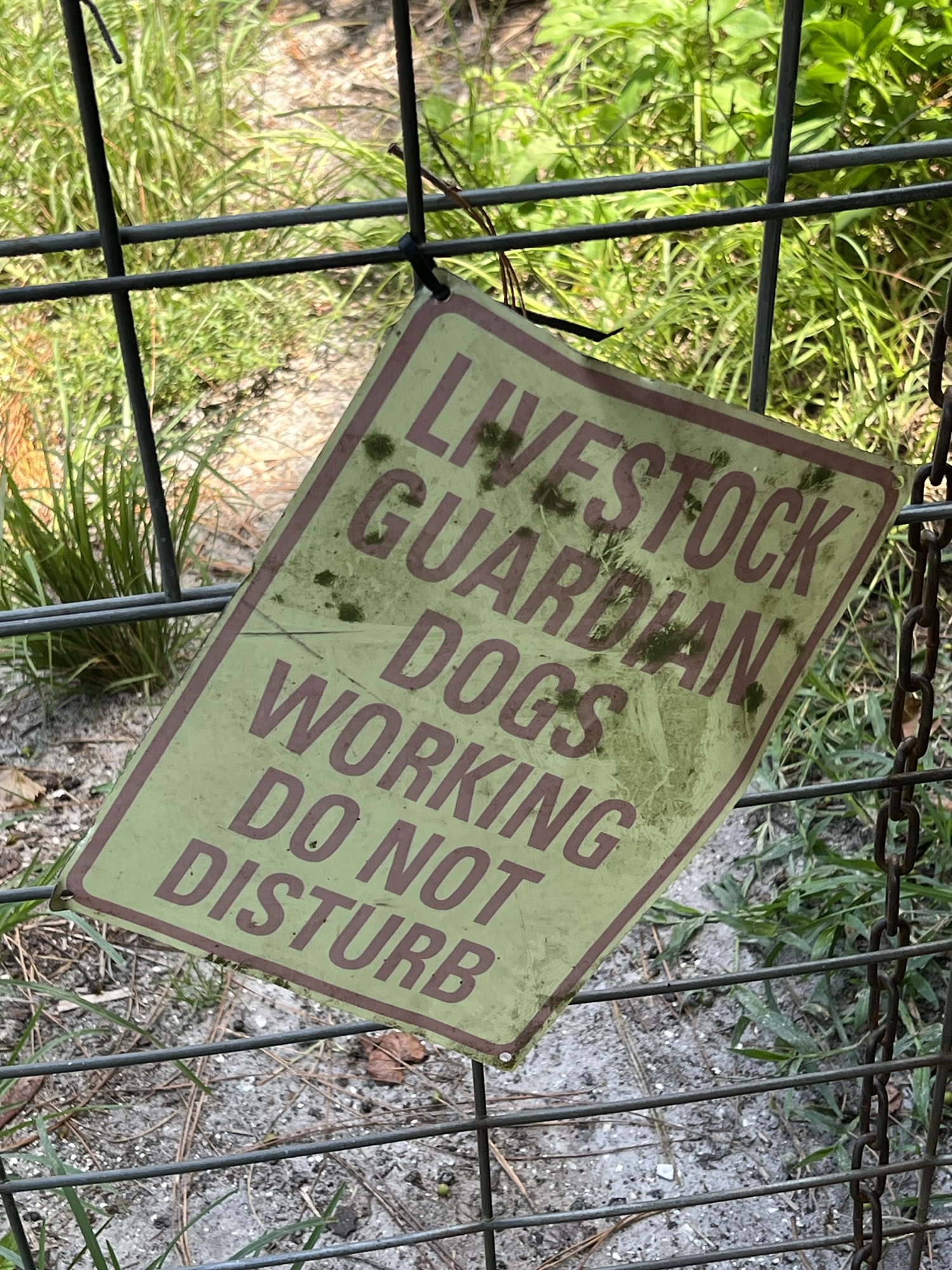 The Importance of Closed Farms in Biosecurity and Safety – 5 Acres and ...